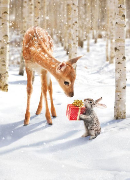 Fawn And Bunny Friends (15 Pack) by Avanti Press | Barnes & Noble®