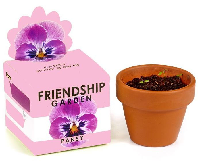 Pansy Mini Garden Kit by SERACON PRODUCTS | Barnes & Noble®