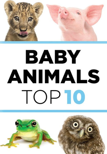 Baby Animals: The Top Ten [3 Discs] by Baby Animals: The Top Ten (3Pc ...