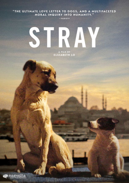 Stray by Elizabeth Lo, Elizabeth Lo | DVD | Barnes & Noble®