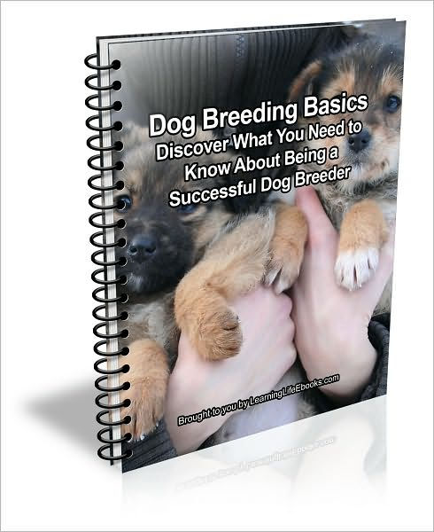 Dog Breeding Basics: Discover What You Need to Know About Being a ...