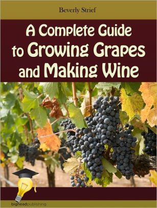 A Complete Guide to Growing Grapes and Making Wine by Beverly Strief | NOOK Book (eBook ...