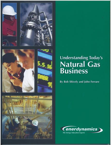 Understanding Today's Natural Gas Business by Robert Shively, John ...