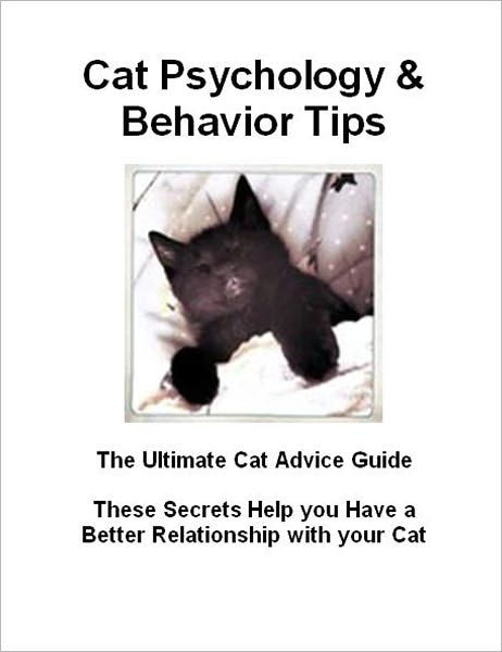 Cat Psychology & Behavior Tips: These Secrets Help you Have a Better ...