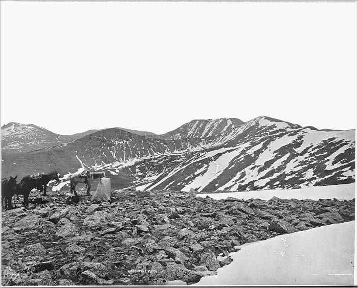 The vigilantes of Montana; or, Popular justice in the Rocky mountains ...