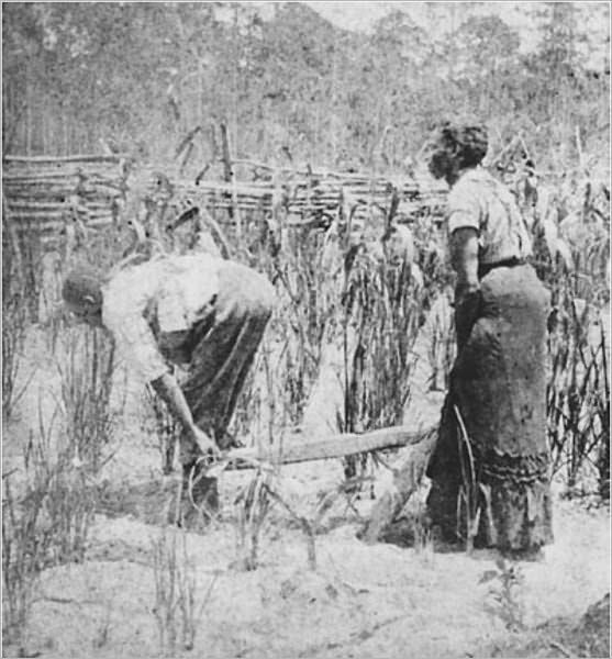 Ten Years on a Georgia Plantation Since the War by Frances Butler Leigh ...