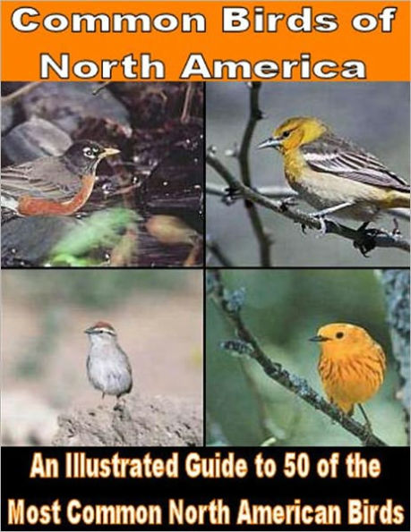 Common Birds of North America: An Illustrated Guide to 50 of the Most ...