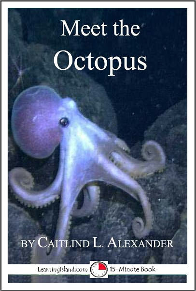 Meet the Octopus: A 15-Minute Book for Early Readers by Caitlind ...