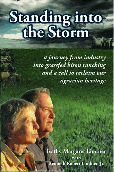 Standing into the Storm by Kathy Lindner | eBook | Barnes & Noble®
