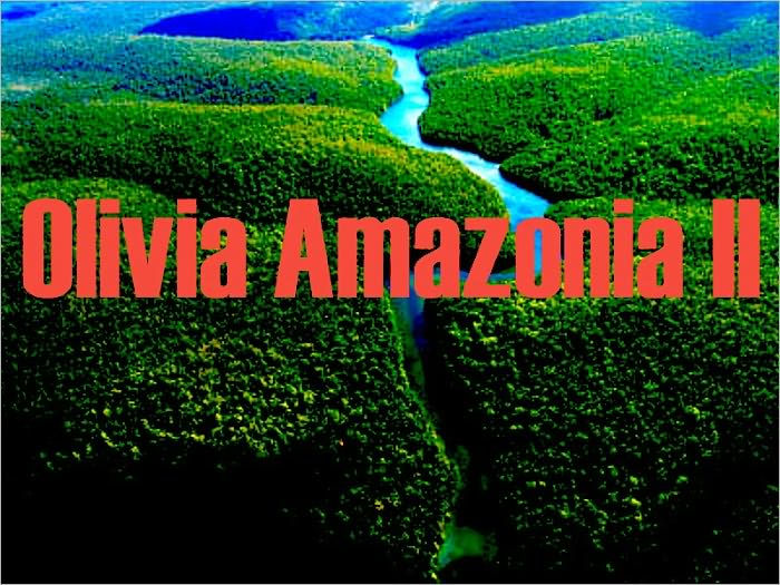 Olivia Amazonia II by heidi jacobsen | eBook | Barnes & Noble®