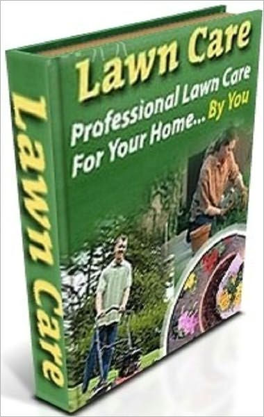 Best Lawn Care - Professional Lawn Care For Your Home - The Use Of A ...