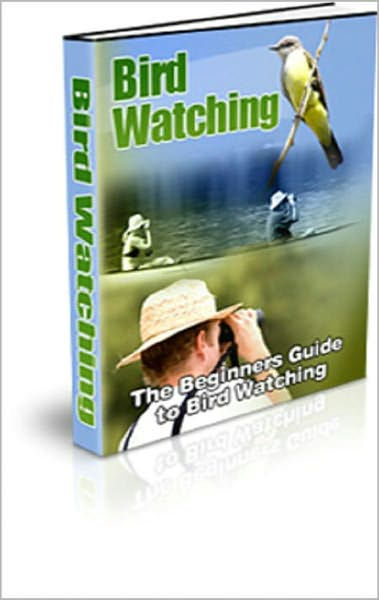 The Beginners Guide To Bird Watching: The Ultimate Guide To Bird ...