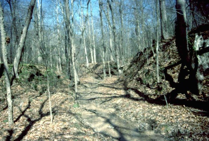 The Cave by Sam McGowan, Paperback | Barnes & Noble®