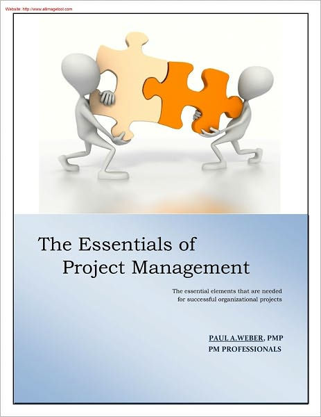 The Essentials of Project Management by Paul Weber | eBook | Barnes ...