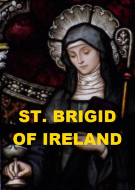 St. Brigid of Ireland by Thomas Olden | eBook | Barnes & Noble®