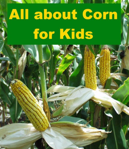 All about Corn for Kids by Charles Ryan | eBook | Barnes & Noble®