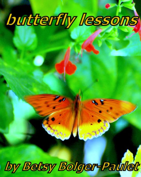 Butterfly Lessons by Betsy Bolger Paulet | eBook | Barnes & Noble®