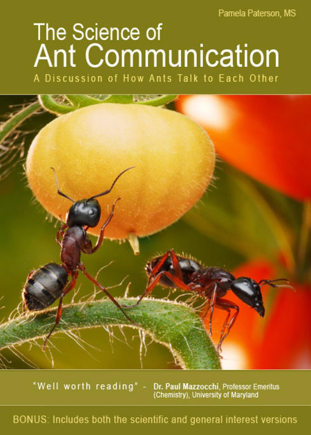 The Science of Ant Communication: A Discussion of How Ants Talk to Each ...