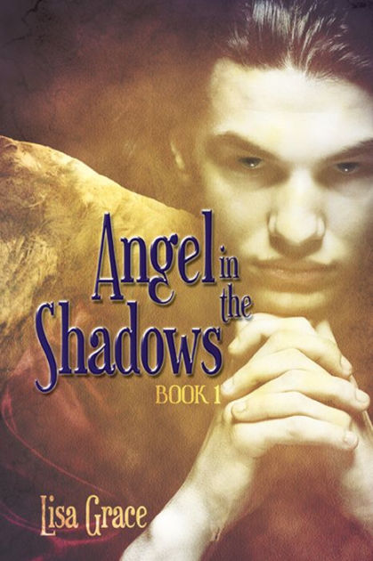 Angel in the Shadows, Book 1 by Lisa Grace (Angel Series) by Lisa Grace ...
