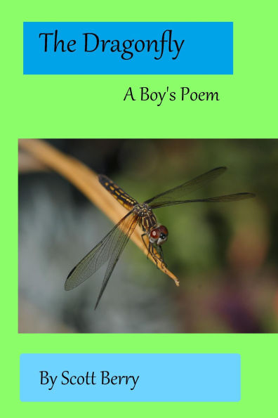 The Dragonfly: A Boy's Poem by Scott Berry Sr | eBook | Barnes & Noble®