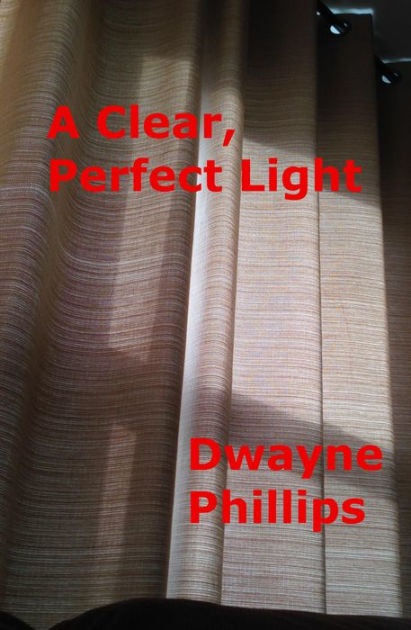 A Clear, Perfect Light by Dwayne Phillips | eBook | Barnes & Noble®