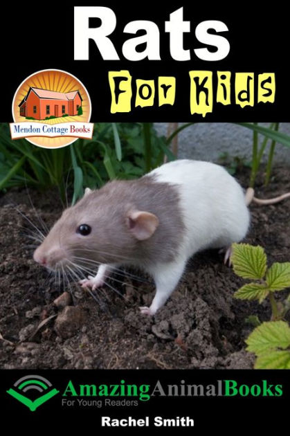 Rats For Kids by Rachel Smith | eBook | Barnes & Noble®