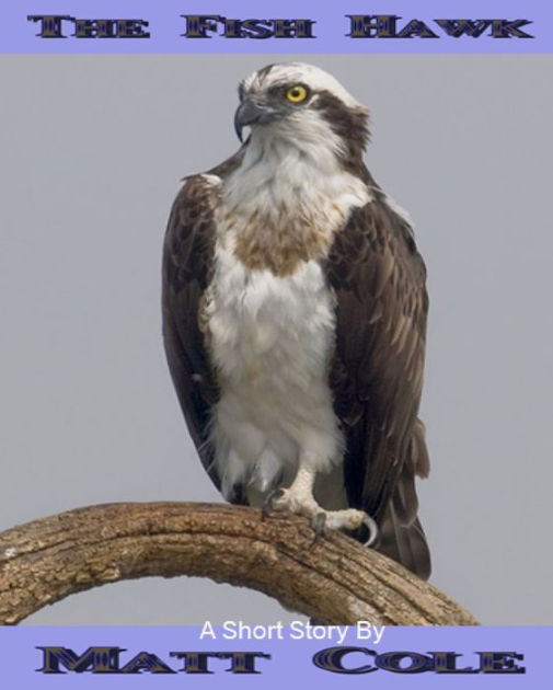 The Fish Hawk by Matthew Cole | eBook | Barnes & Noble®