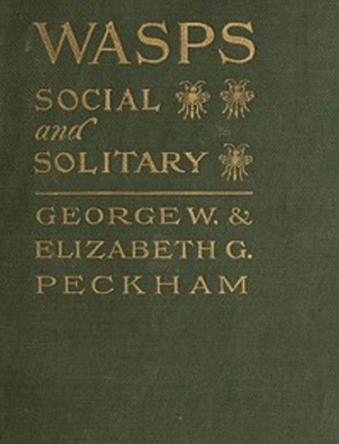 Wasps (Illustrated) by Elizabeth Peckham, George Peckham | eBook ...