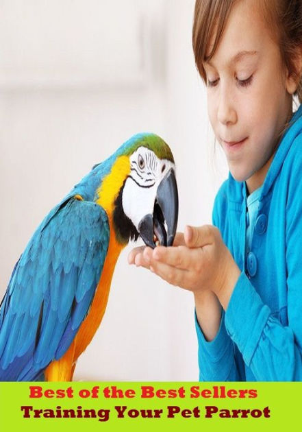 Best of the Best Sellers Training Your Pet Parrot (training support ...