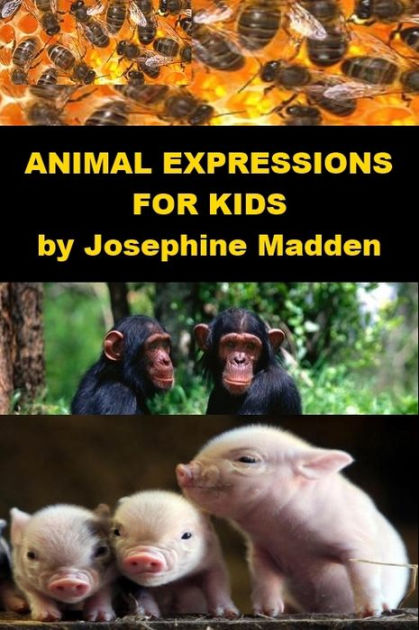 Animal Expressions for Kids by Josephine Madden | eBook | Barnes & Noble®