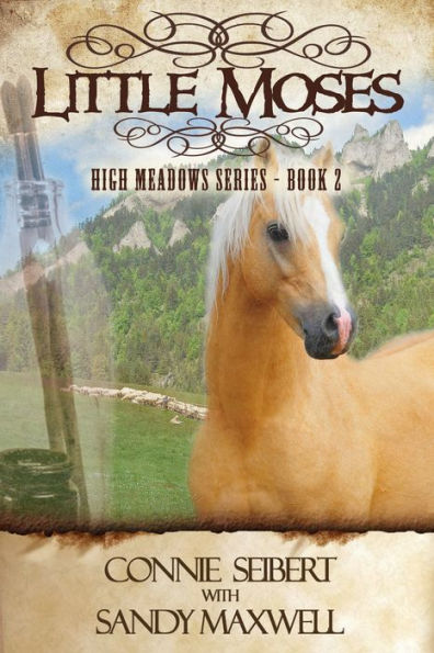 Little Moses by Connie Seibert, Sandy Maxwell | eBook | Barnes & Noble®