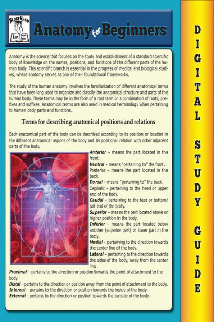 Anatomy For Beginners (Blokehead Easy Study Guide) by Scott Green ...