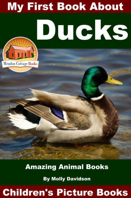 My First Book About Ducks - Amazing Animal Books - Children's Picture ...