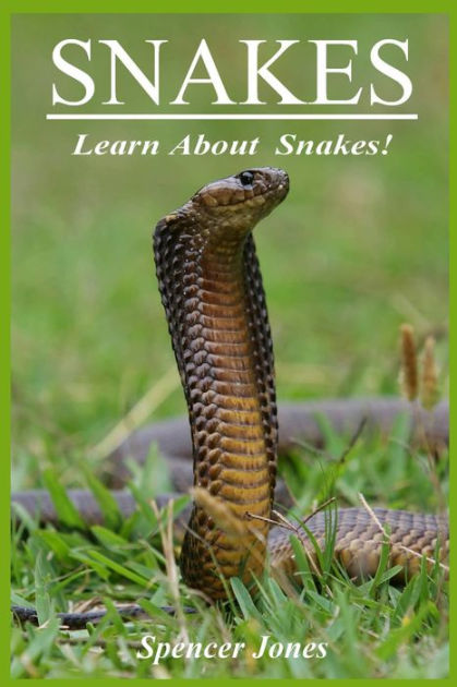 Snakes: Fun Facts & Amazing Pictures - Learn About Snakes by Spencer ...