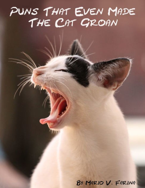 Puns That Even Made The Cat Groan by Mario V. Farina | eBook | Barnes ...
