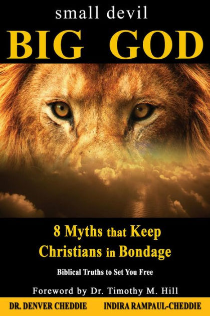 Small Devil Big God by Denver Cheddie, Indira Rampaul-Cheddie | eBook ...