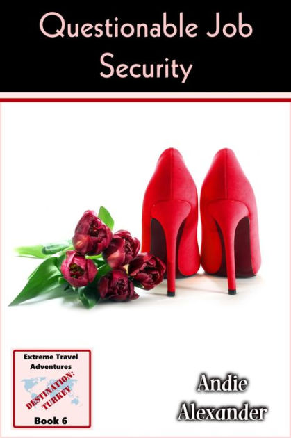 Questionable Job Security by Andie Alexander | eBook | Barnes & Noble®