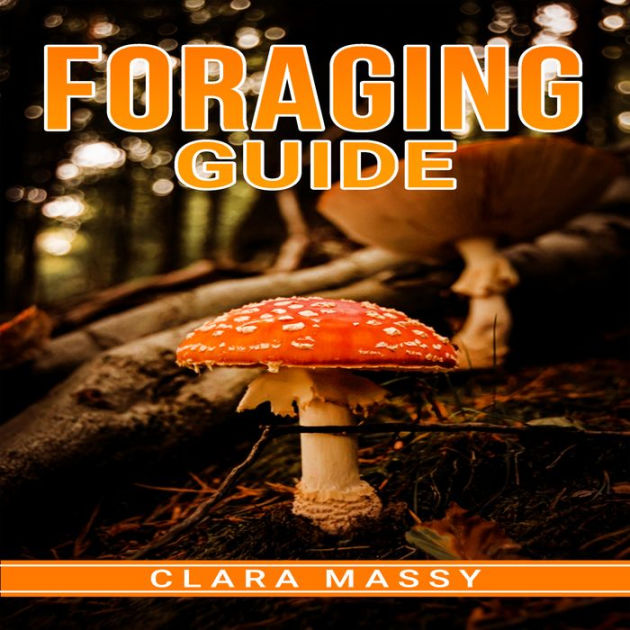 FORAGING GUIDE: How to Gather and Store Wild Plants Throughout the Year ...