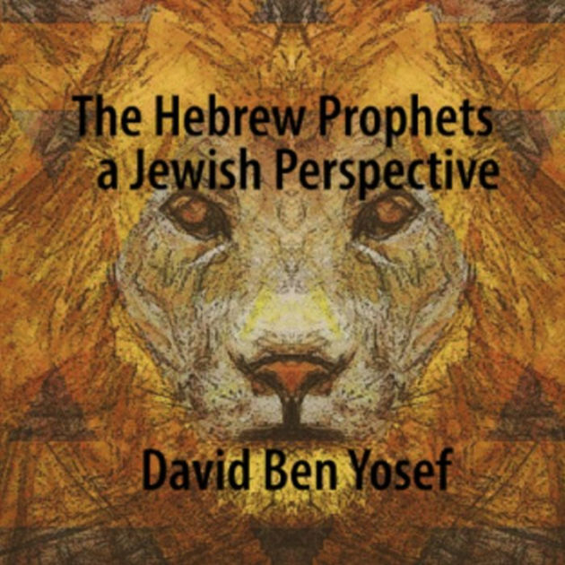 The Hebrew Prophets: A Jewish Perspective by David Ben Yosef, Joe Balog ...