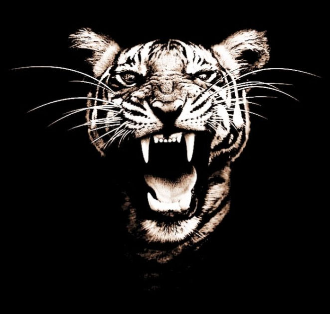 El Tiguere Perfecto En ti: La Guia Dominicana by Herbert E | eBook ...