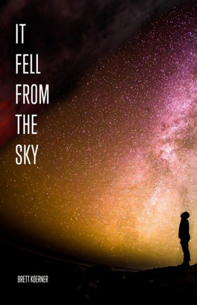 It Fell From the Sky by Brett Koerner | eBook | Barnes & Noble®