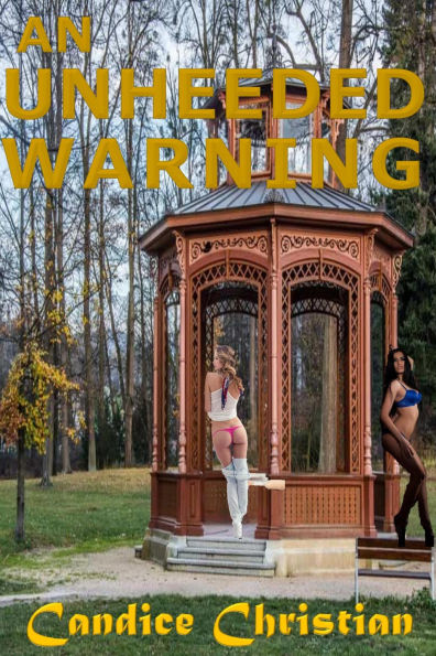 An Unheeded Warning by Candice Christian | eBook | Barnes & Noble®