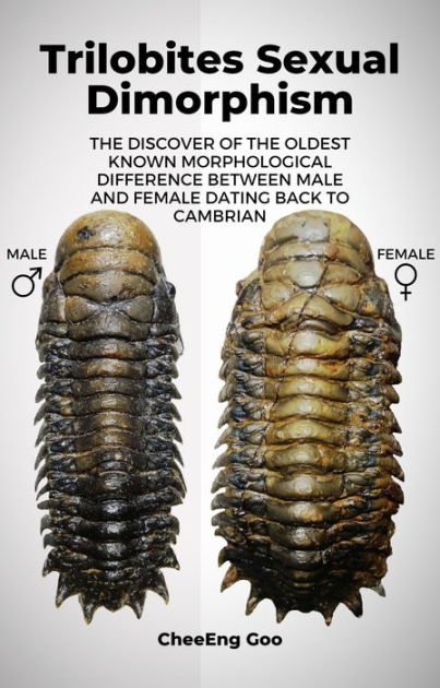 Trilobites Sexual Dimorphism: The Discover of the Oldest Known ...