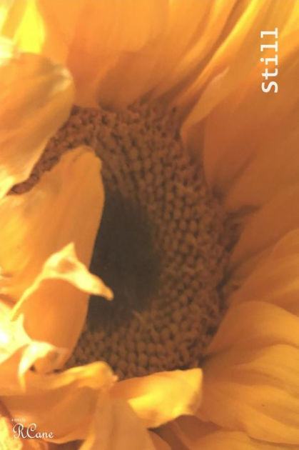 Still by R. Cane | eBook | Barnes & Noble®