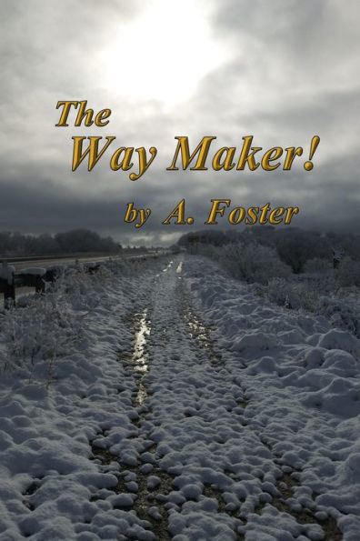 The Way Maker by A. Foster | eBook | Barnes & Noble®