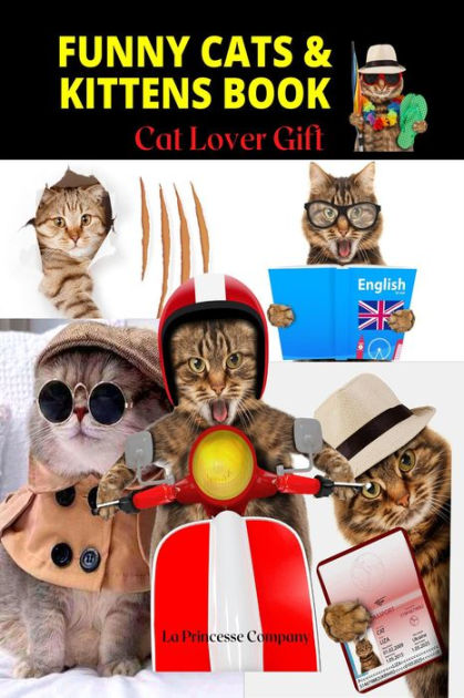 Funny Cats & Kittens Book - Cat Lover Gifts (Pet Book, #3) by Engy ...