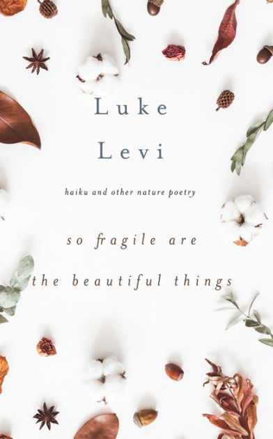 So Fragile Are the Beautiful Things by Luke Levi | eBook | Barnes & Noble®