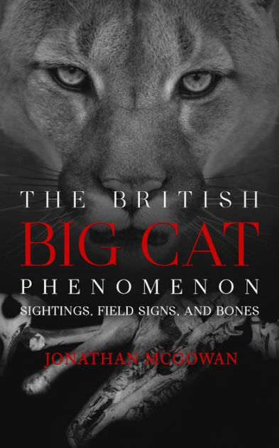 The British Big Cat Phenomenon: Sightings, Field Signs, and Bones: by ...
