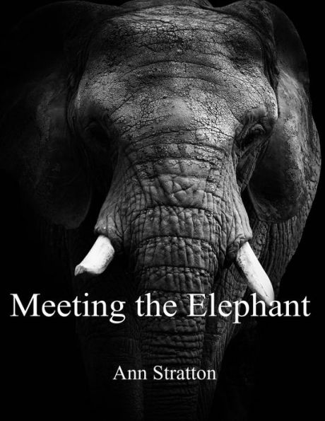 Meeting the Elephant by Ann Stratton | eBook | Barnes & Noble®