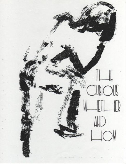 The Curious Whether and How by Stephen Meiner, Paperback | Barnes & Noble®